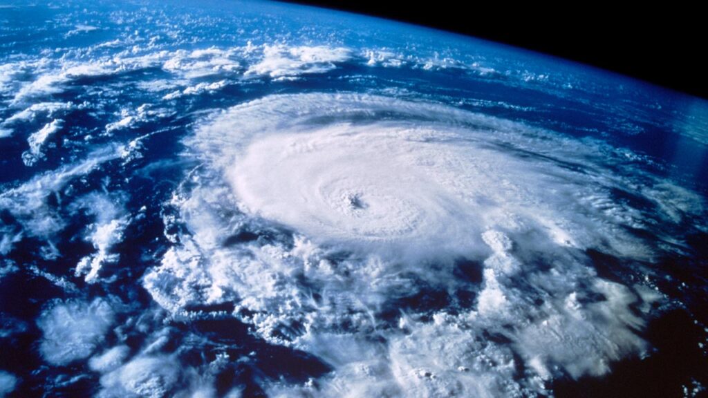 Harmony in Hurricane Season - Slim Spurling's Light-Life® Technology